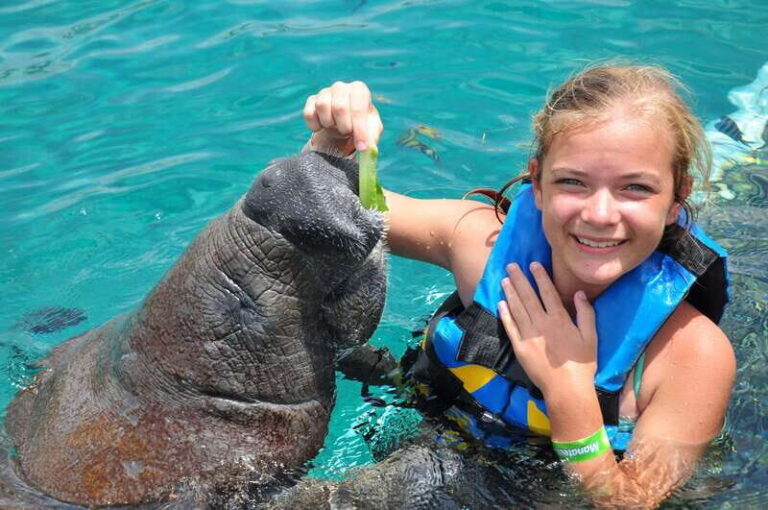Cozumel: Manatee Encounter, Chankanaab Admission and Buffet - The Park and Buffet