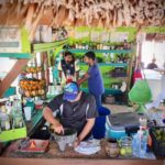 Cozumel: Mayan Roots and Local Tastes Guided Tour - Meeting Stingless Bees in the Jungle