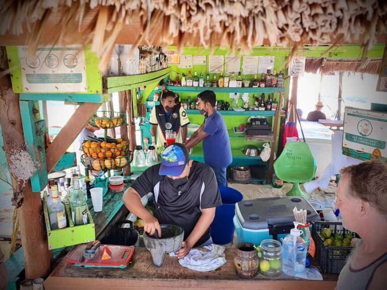 Cozumel: Mayan Roots and Local Tastes Guided Tour - Meeting Stingless Bees in the Jungle