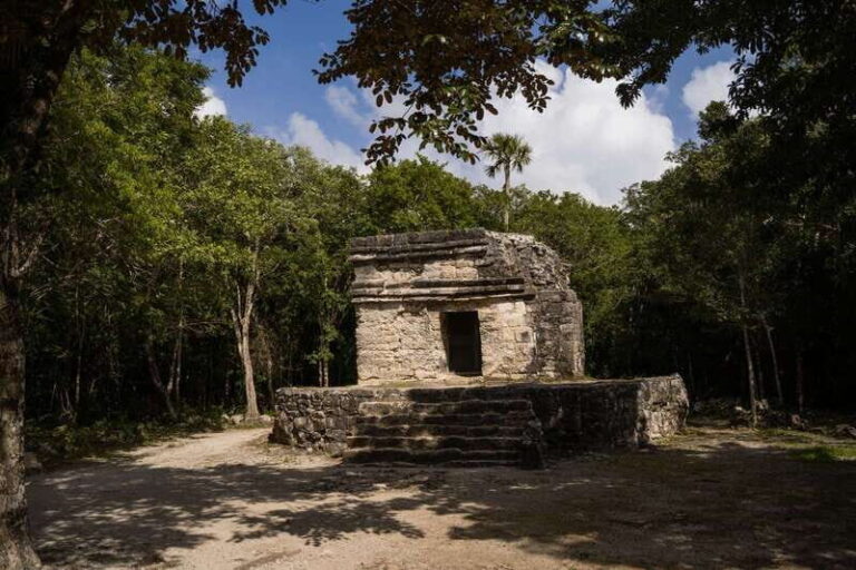 Cozumel: Mayan Ruins Guided Tour with Snorkeling & Lunch - Visiting San Gervasio: Cozumel’s Oldest Mayan City