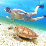 Cozumel: Palancar, Columbia and Cielo Reefs Snorkeling Tour - Authentic Experiences & User Insights
