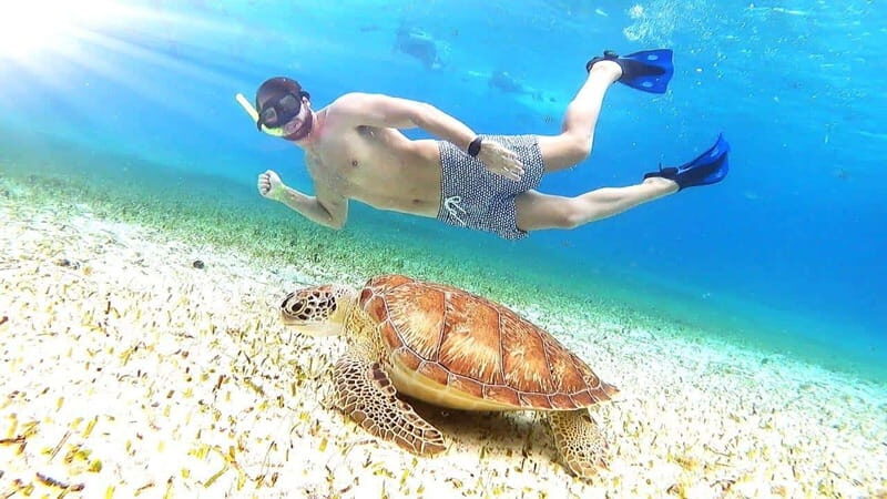Cozumel: Palancar, Columbia and Cielo Reefs Snorkeling Tour - Authentic Experiences & User Insights