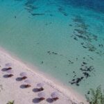 Cozumel Playa Palancar VIP All Inclusive Day Pass - What Makes Playa Palancar Special?