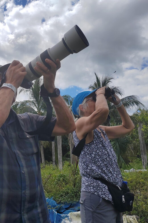 Cozumel: Private Car, Driver & Certified Tour Guide - Why This Tour Offers Great Value