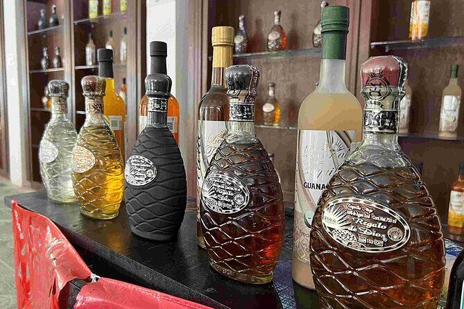 Cozumel Private Island Tour - Scenic Drive and Photo Stops