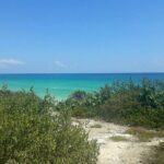 Cozumel: Private Jeep Tour, Mayan Ruins, Snorkeling & Lunch - Practical Tips for Travelers