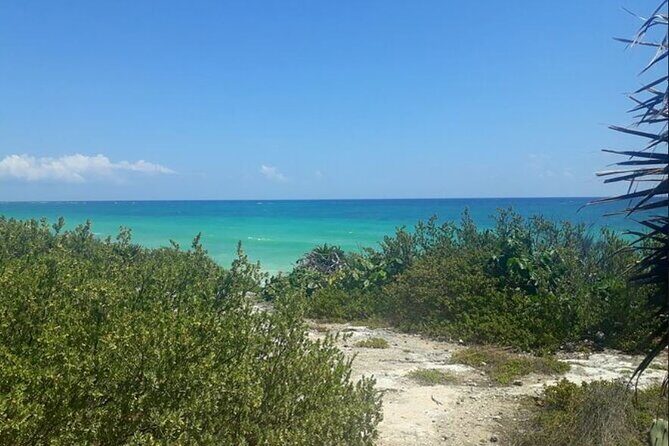 Cozumel: Private Jeep Tour, Mayan Ruins, Snorkeling & Lunch - Practical Tips for Travelers