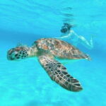 Cozumel: Private Snorkel Tour El Cielo + 3 Reefs Food Drinks - Onboard Experience: Food, Drinks, and Relaxation