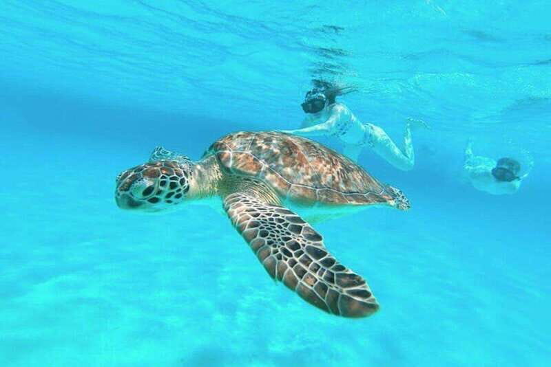 Cozumel: Private Snorkel Tour El Cielo + 3 Reefs Food Drinks - Onboard Experience: Food, Drinks, and Relaxation