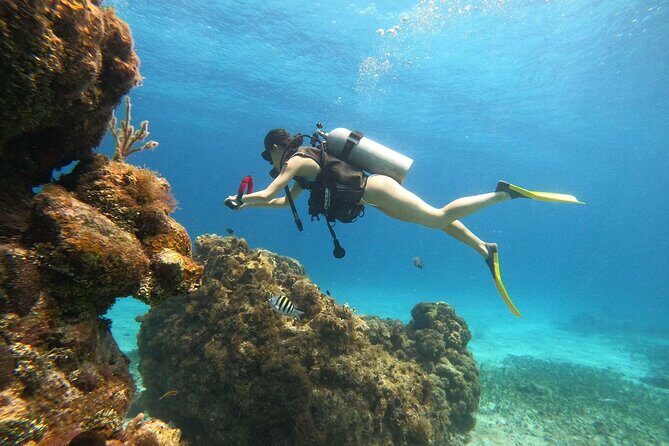 Cozumel Scuba Dive at Chankanaab - The Dive Itself: An Authentic Underwater Encounter