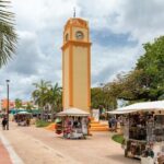 Cozumel Sea Safari Snorkeling Tour - Costs and What You’re Paying For