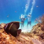 Cozumel: Sea Trek Adventure at Chankanaab National Park - Detailed Breakdown of the Experience