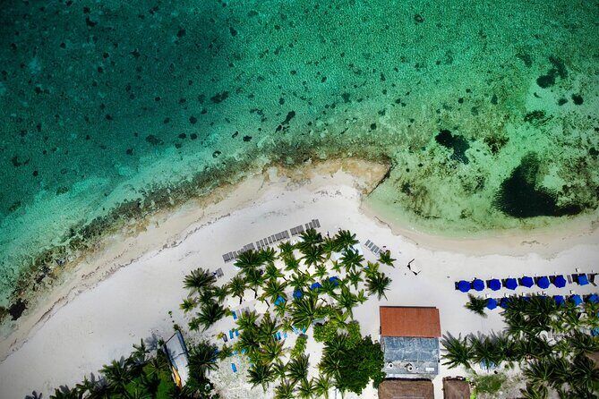 Cozumel: Shore Excursions for Royal Caribbean Cruise Passengers - Exploring the Cozumel Shore Excursion in Detail