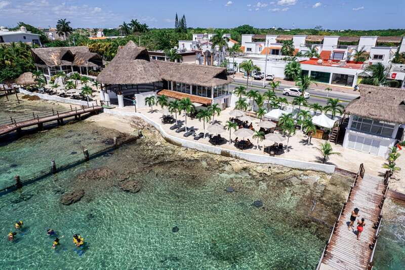 Cozumel: Snorkel and Swim with Stingrays - What to Know Before Booking