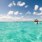 Cozumel: Snorkel Tour to El Cielo, Palancar, and Colombia - Who Is This Tour Best For?