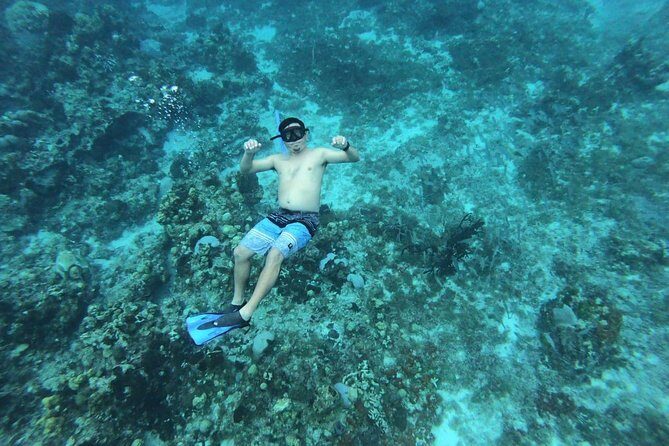 Cozumel Snorkeling Experience! El Cielo Reef from Cancun & Playa del Carmen - What We Loved About This Tour