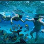 Cozumel: snorkeling on reefs + visit to "El Cielo" - The Highlights and Challenges
