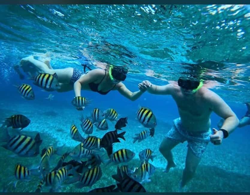 Cozumel: snorkeling on reefs + visit to "El Cielo" - The Highlights and Challenges