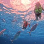 Cozumel Snorkeling to Palancar & El Cielo with drinks & Snack - What’s Included and What’s Not