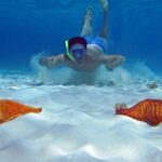 Cozumel Snorkeling Tour to Palancar Reef and El Cielo - What’s Included and What’s Not