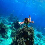 Cozumel: Transparent bottom boat tour and snorkeling activity. - Who Will Love This Tour?