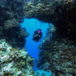Cozumel: Two reef dives in Marine Park, certified divers - What the Dives Entail