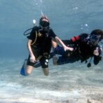 Cozumel underwater 2 Tank Dive by boat - What Sets This Tour Apart