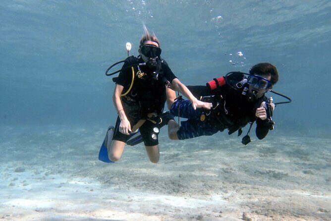 Cozumel underwater 2 Tank Dive by boat - What Sets This Tour Apart