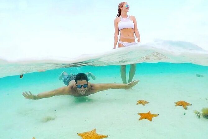 Cozumel Underwater Wonders: El Cielo Sandbar & Reef Snorkeling - The Cost and Its Value