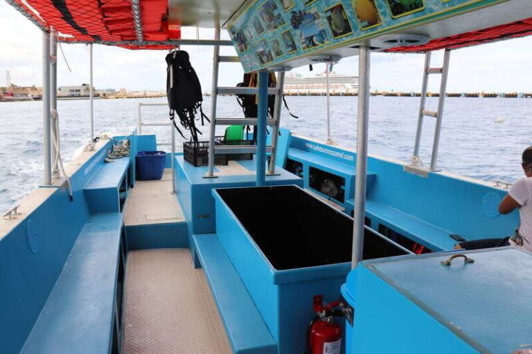Cozumel: VIP Glass Bottom Boat & Snorkeling 3 Reefs Tour - First Impressions: What You Can Expect from This Tour