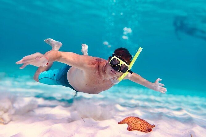 Cozumel's Best: Snorkel Adventure in El Cielo and El Cielito - What’s Included and What to Expect