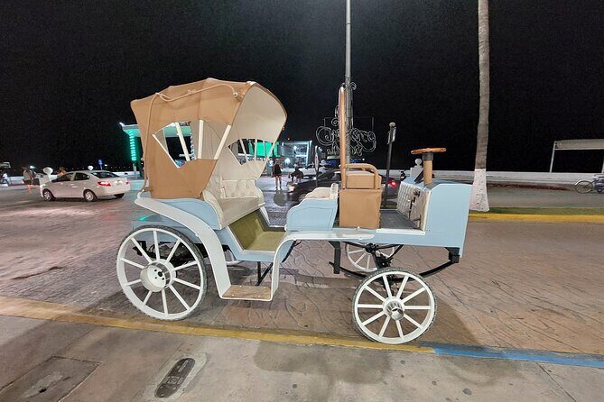 Cozumel's Heart Electric and Horse-drawn Carriage Tour - Final Thoughts