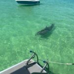 Crab Island Party!! Lily Pad, Paddleboard, Speaker & Cooler - The Itinerary and Experience