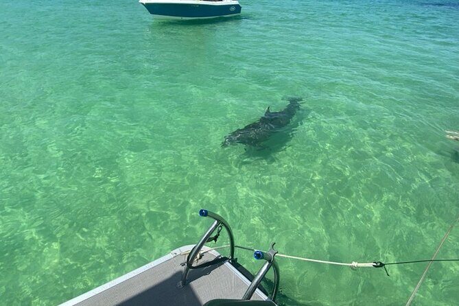 Crab Island Party!! Lily Pad, Paddleboard, Speaker & Cooler - The Itinerary and Experience