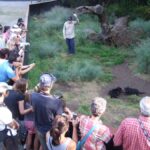 Cradle Mountain: After Dark Tasmanian Devil Feeding Tour - What to Expect from the Tour