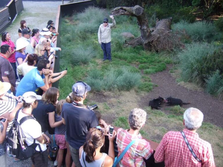 Cradle Mountain: After Dark Tasmanian Devil Feeding Tour - What to Expect from the Tour