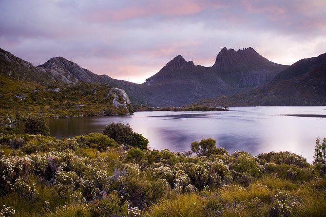 Cradle Mountain Day Tour Charter Service ( 3 days in advance - The Practical Side: Comfort, Costs, and Group Size