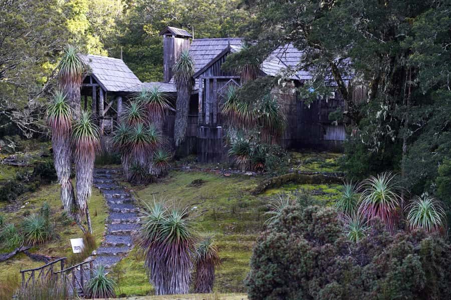 Cradle Mountain: Day Trip from Launceston with Lunch - Transportation and Practicalities