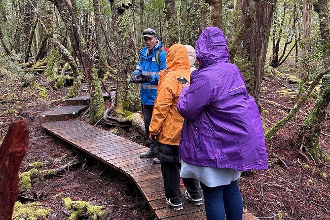 Cradle Mountain Half Day Dove Lake Guided Tour with Lunch - What’s Included and What to Expect