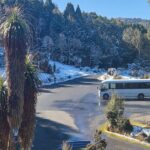 Cradle Mountain Half Day Park Explorer Tour with Lunch - FAQ