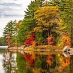 Cranberry Plunge and Hardy Lake Hike Adventure - Frequently Asked Questions