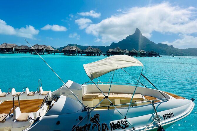 Crazy sea horse Bora Bora Comfortable boat, snorkeling and lunch - Who Would Love This Tour?