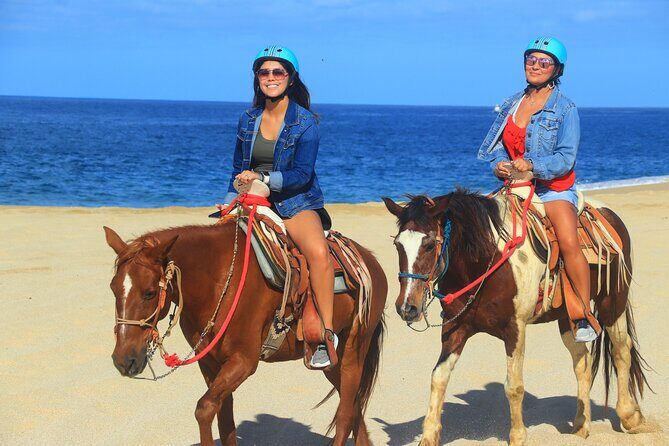 Create your COMBO: Choose 2 of the Best Tours in CABO - The Experience: What You Can Expect