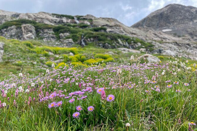 Crested Butte via Cottonwood Pass Private Colorado Adventure Tour - Transportation and Group Size