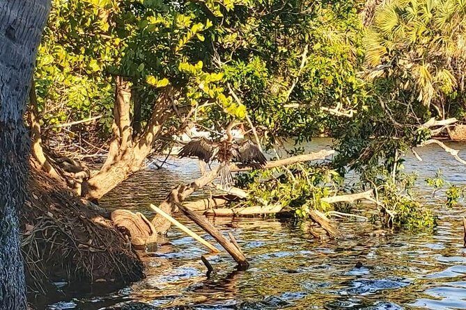 Croc´s & Turtle Aquarium - Starting the Adventure: Laguna Ventanilla