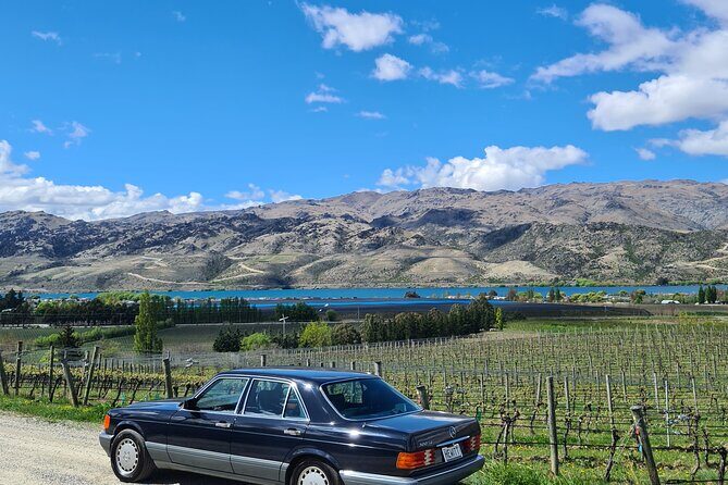 Cromwell Wine Tasting Tour using Classic Car - Who Is This Tour Best Suited For?