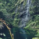 Crossing Over Tahiti Island Safari 4x4 - Why the 4x4 Safari Excels