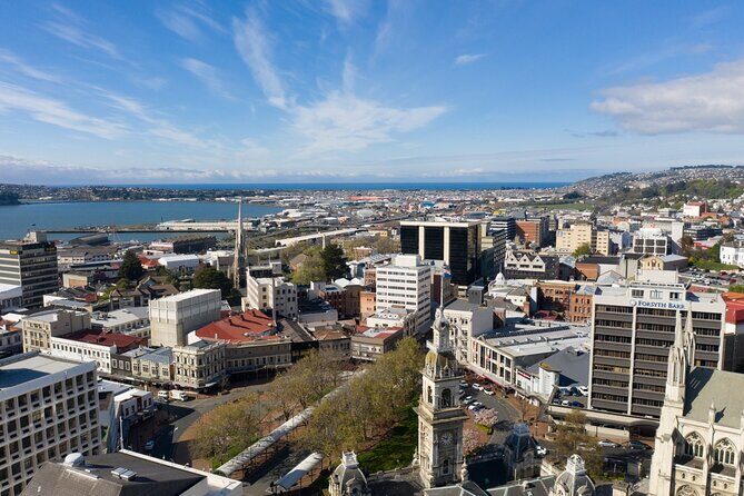 Cruise Dunedin City and Castle Tour - Practical Details That Matter