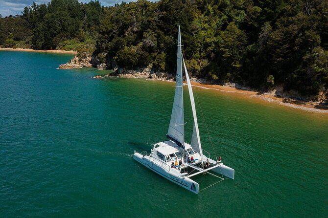 Cruise, Walk, and Sail in Abel Tasman National Park - Final Thoughts: Is This Tour for You?
