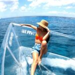 Crusers only Under the Sea of Cozumel - Practical Details: What You Need to Know